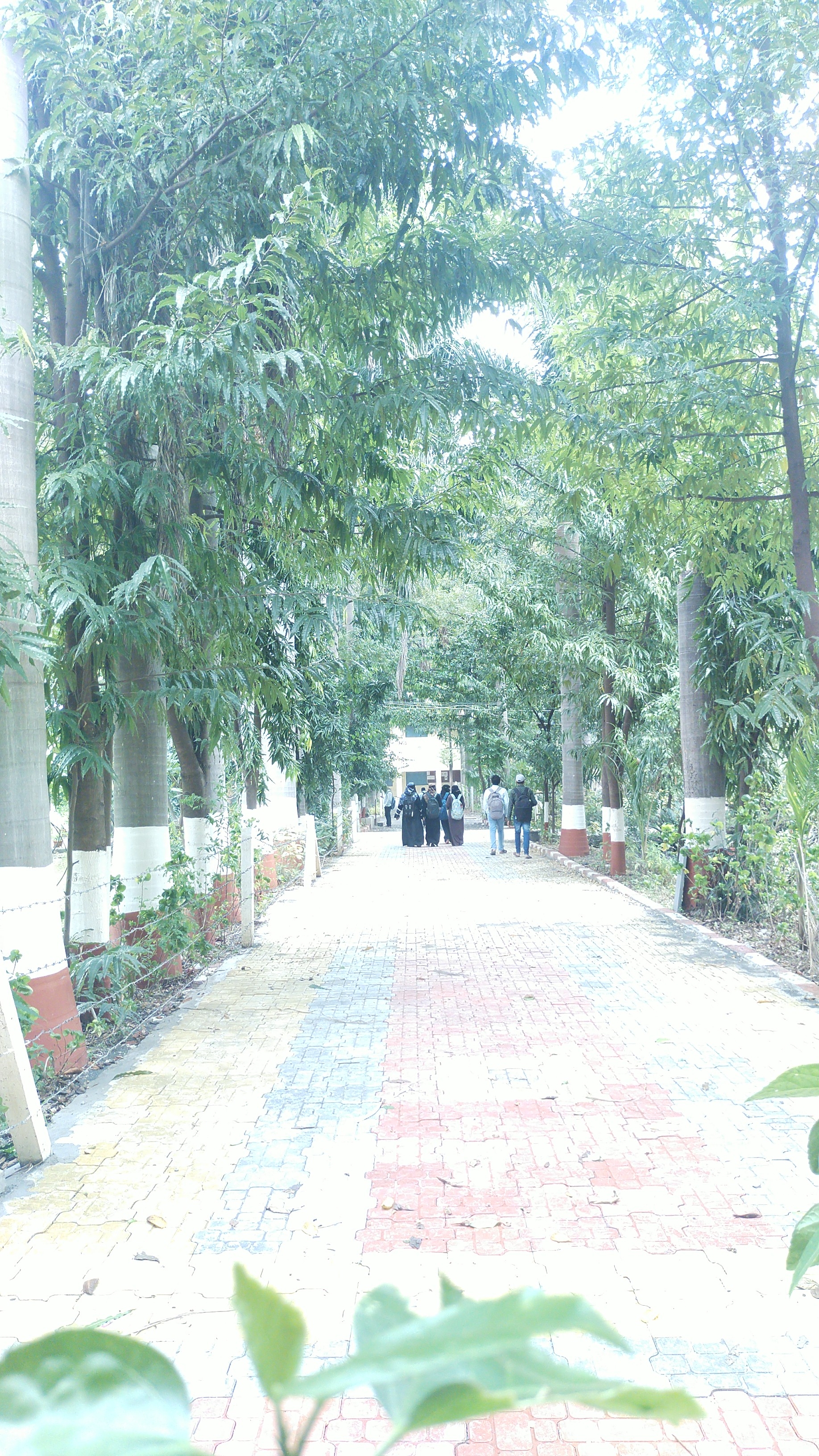 Science College, Nanded